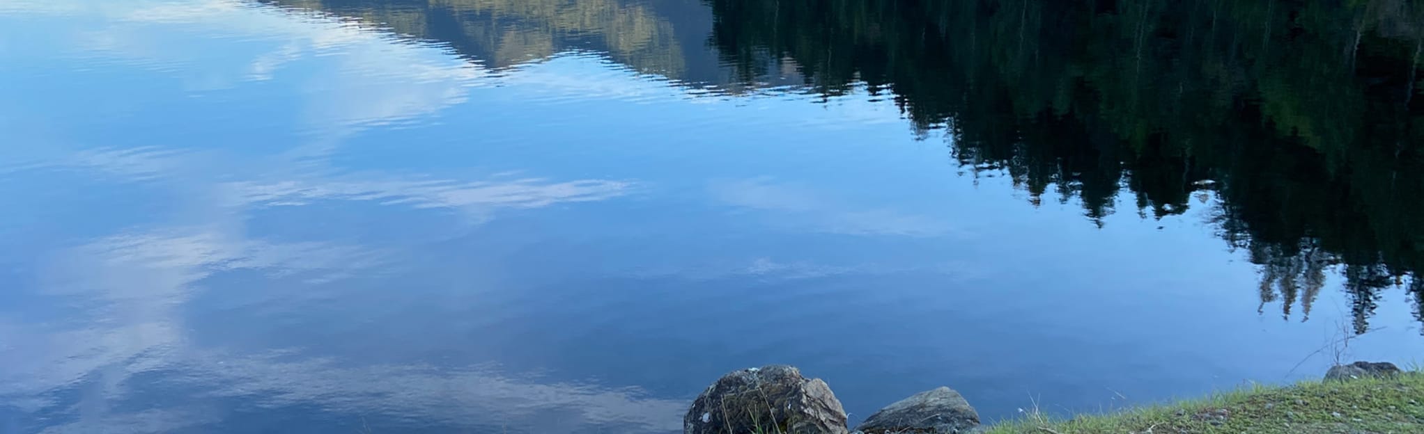 Bon Tempe Lake and Cataract Falls Loop Trail: 334 Reviews, Map ...