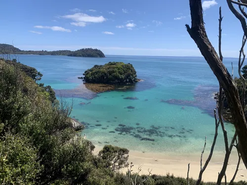 10 Best Trails and Hikes in Stewart Island | AllTrails