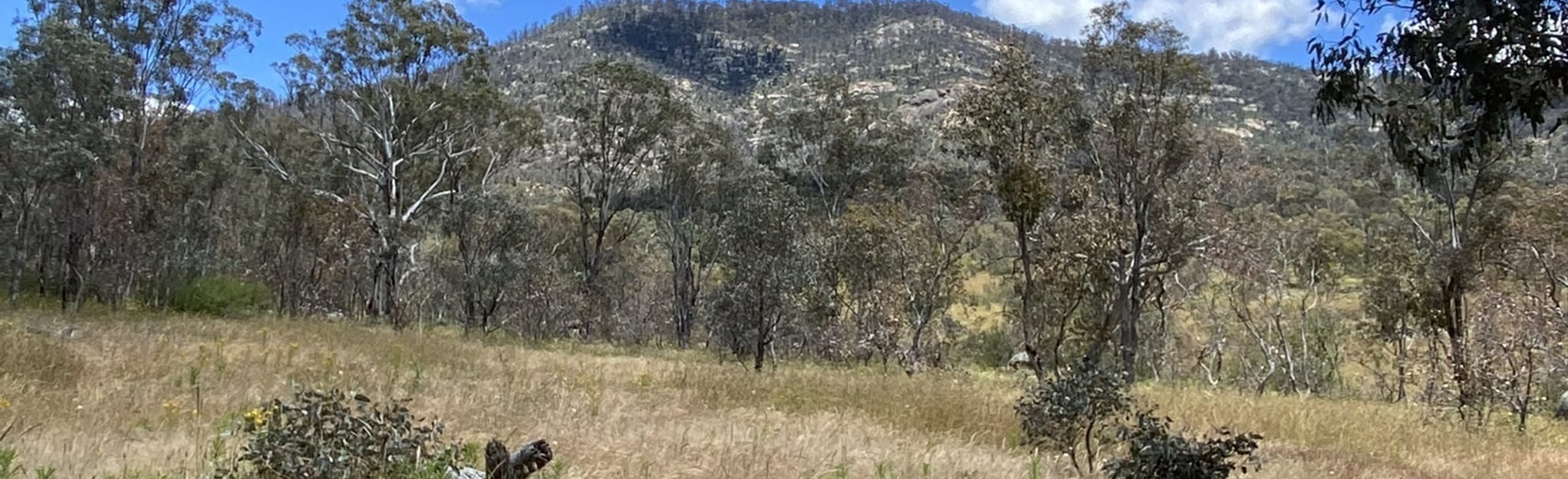 AAWT: Murrays Gap - Namadgi Visitor Centre: 0 Reviews, Map - New South ...