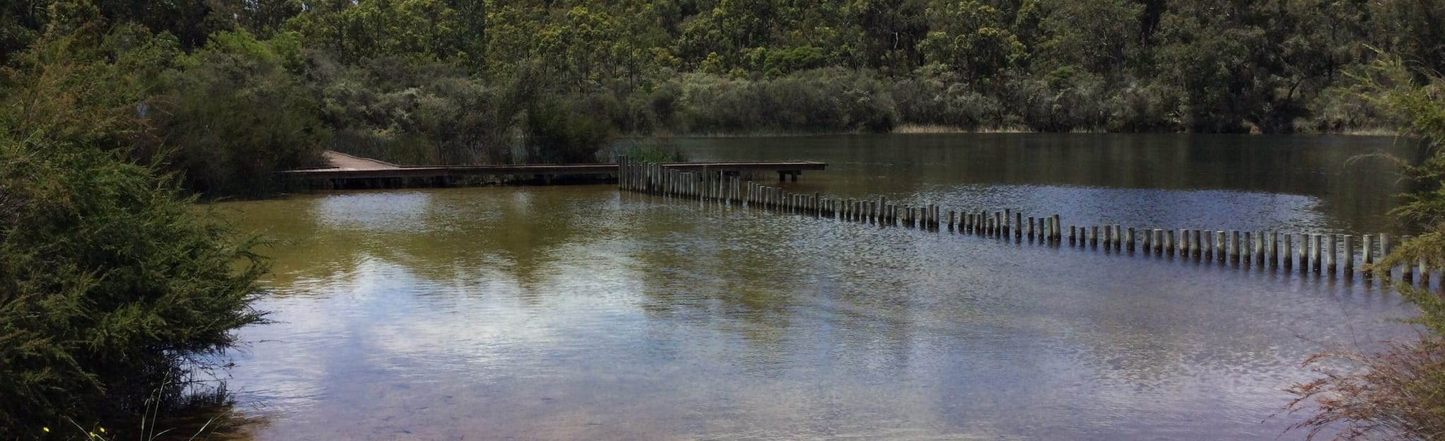 Greenbushes Pool Boardwalk Trail, 6 Fotos - Western Australia ...