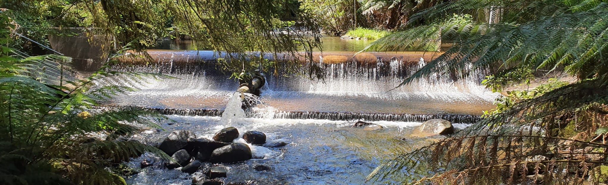 Coranderrk and Lyrebyrd Tracks, Victoria, Australia - 30 Reviews, Map ...