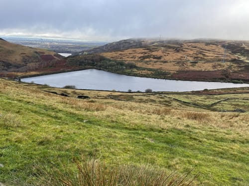 2023 Best Wild Flowers Trails in Stalybridge | AllTrails