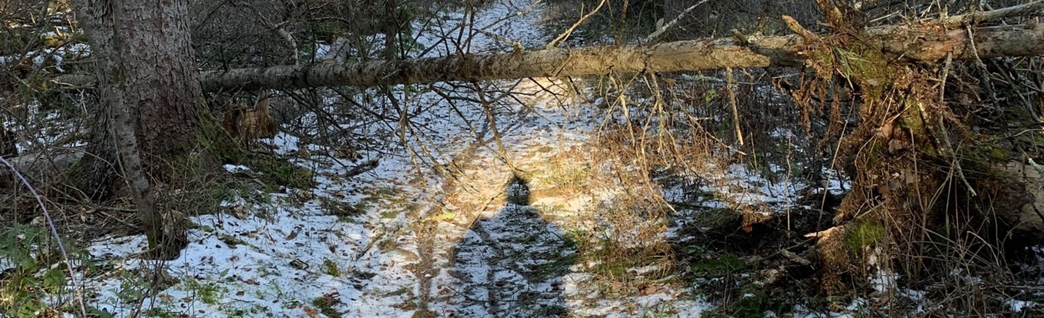 Old Homestead Trail to Jack Henry Environmental Trail: 6 Reviews, Map ...