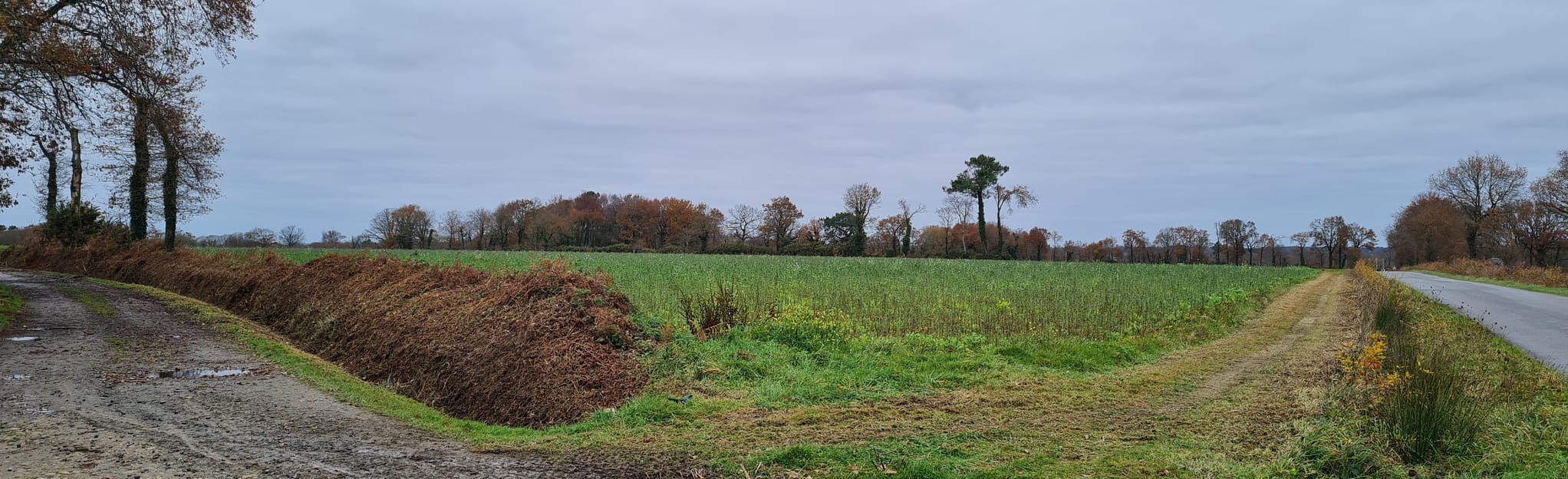 Le Guerno : 4 Photos - Morbihan, France | Randonnée | AllTrails