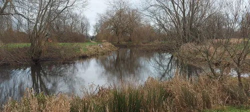 Best Hikes and Trails in Canford Park SANG | AllTrails