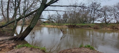 Best Hikes and Trails in Canford Park SANG | AllTrails