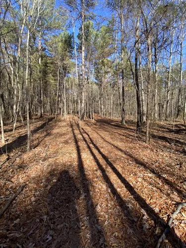 Best Easy Trails in Monroe | AllTrails