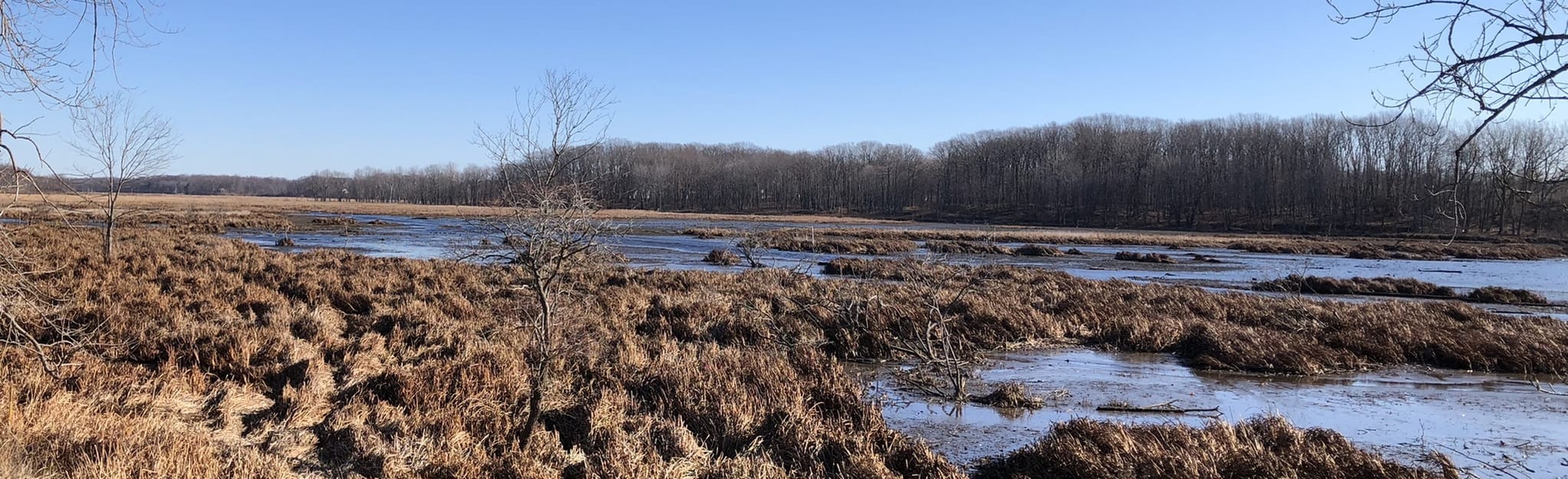 Lakefront and Marsh Rim Trail: 153 fotos - Ohio | AllTrails