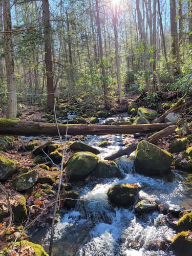 Best Hikes and Trails in Bear Run Nature Reserve | AllTrails