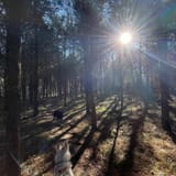 Saunders Springs Nature Preserve Loop, Kentucky - 330 Reviews, Map ...