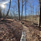 Saunders Springs Nature Preserve Loop, Kentucky - 330 Reviews, Map ...