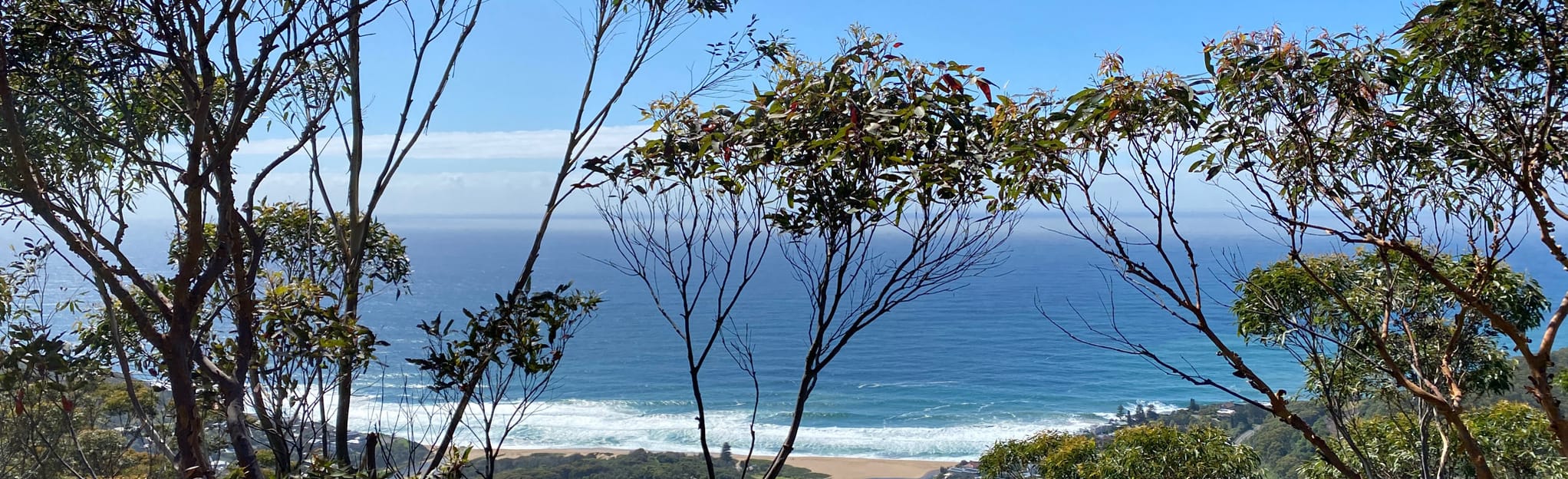 Stanwell Tops: 25 Reviews, Map - New South Wales, Australia | AllTrails