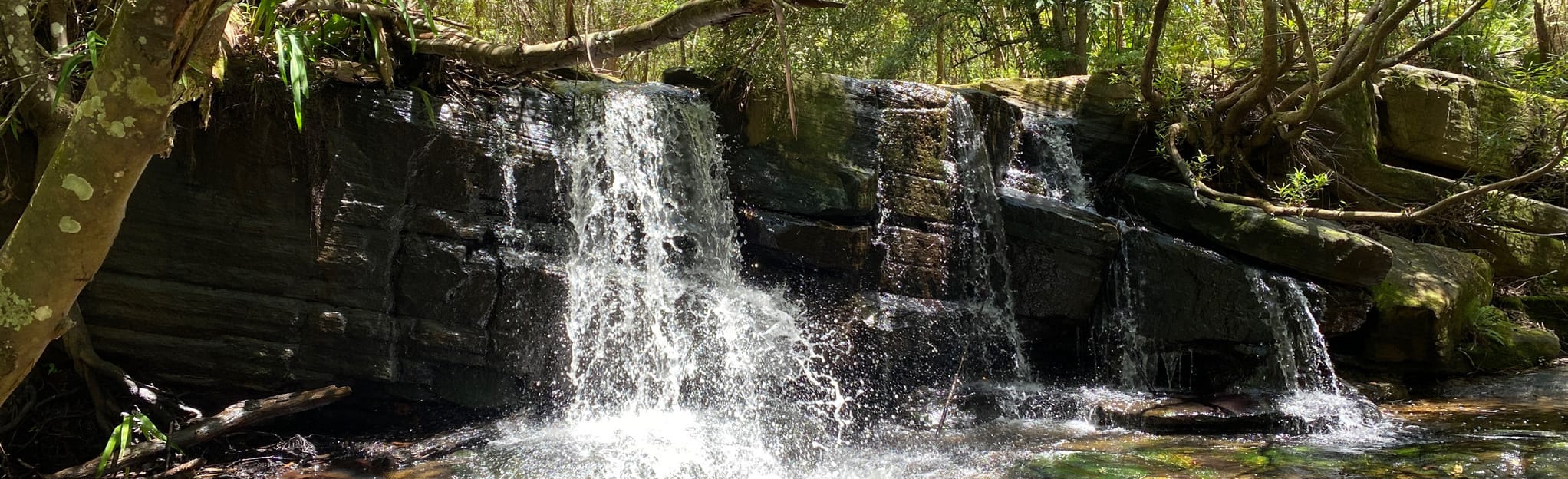 Wodi Wodi and Princess Marina Tracks, New South Wales, Australia - 55 ...