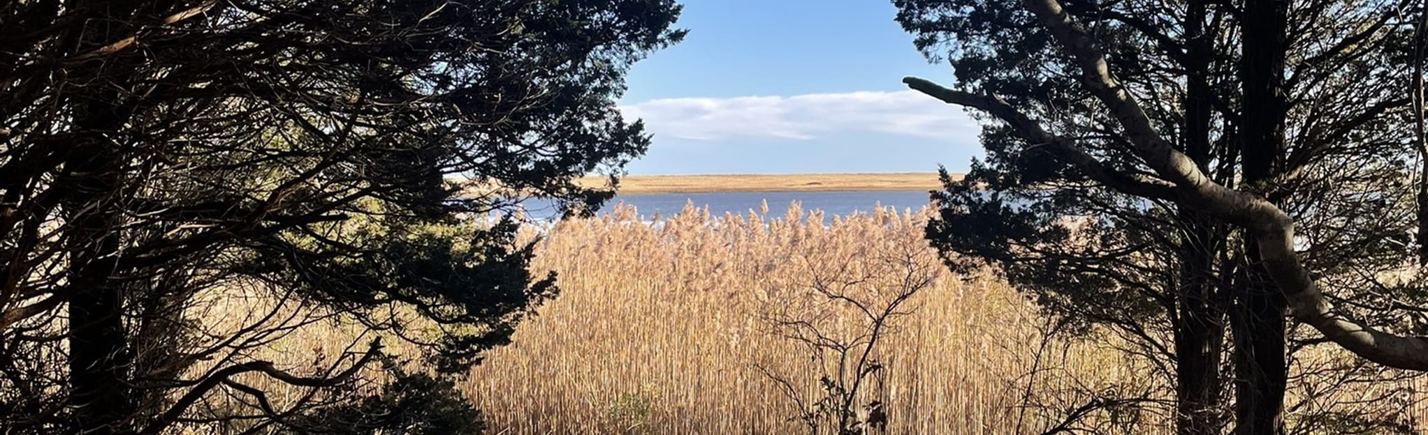 Doane Rock Trail Loop, Massachusetts - 50 Reviews, Map | AllTrails