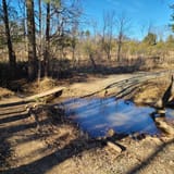 Silver Lake Loop, Virginia - 233 Reviews, Map | AllTrails