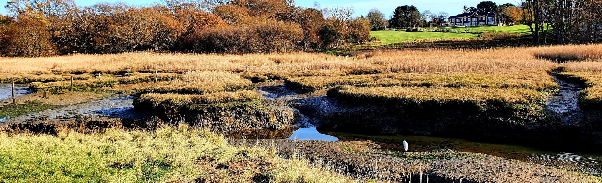 Swanwick to Warsash: 44 Reviews, Map - Hampshire, England | AllTrails