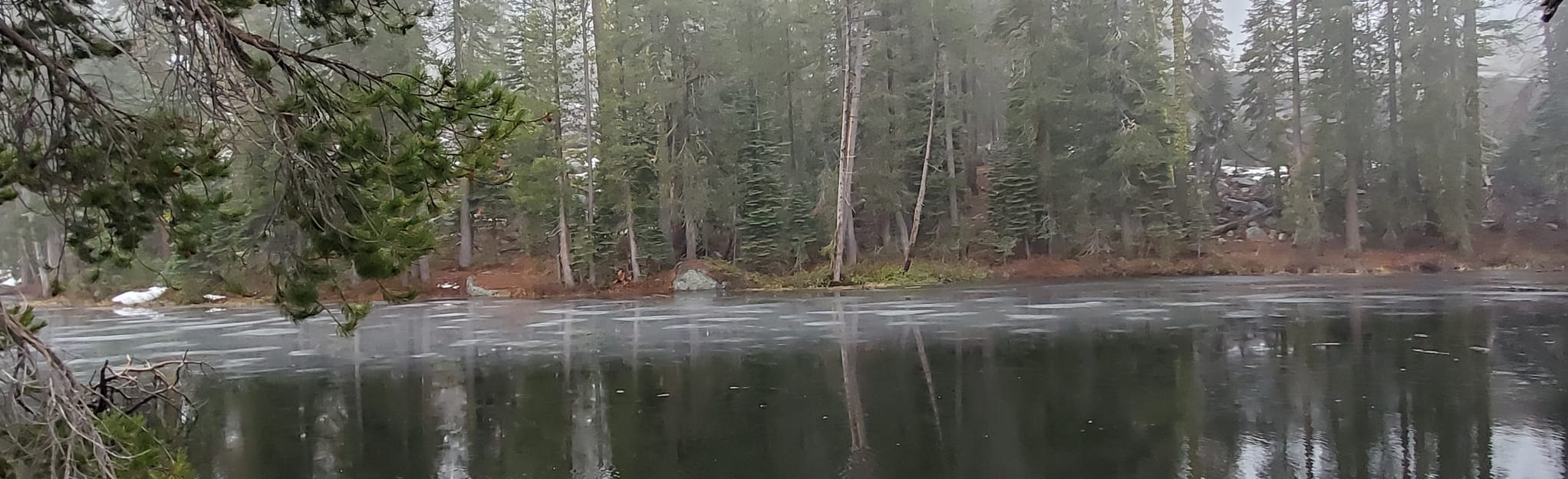 Glacier Meadow Loop Trail: 70 Reviews, Map - California | AllTrails