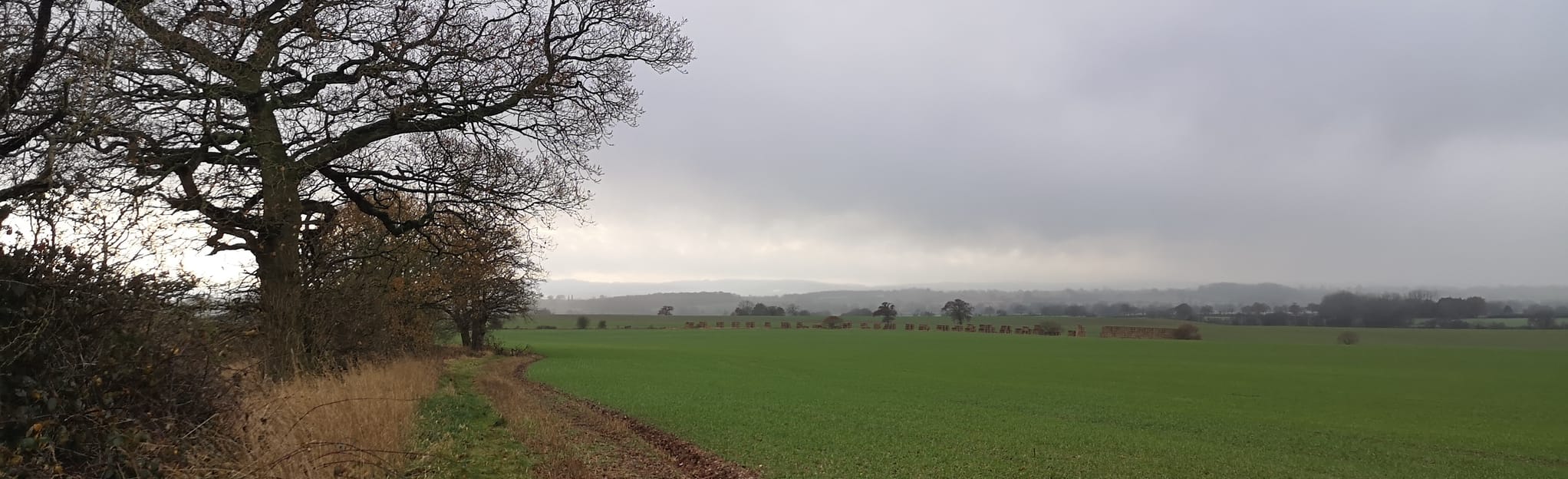 Hoar Cross Hall Circular: 6 Reviews, Map - Staffordshire, England ...