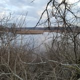 Falling Waters Trail, Michigan - 171 Reviews, Map | AllTrails