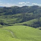 Timberhill Park Trail, California - 216 Reviews, Map | AllTrails