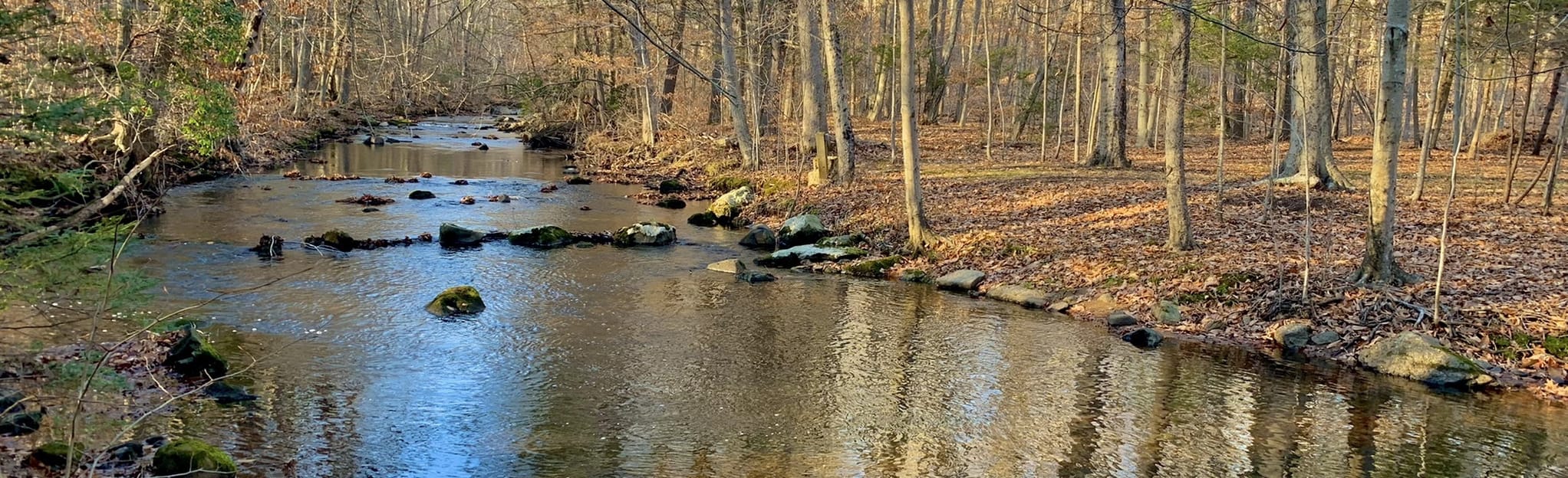 Bittner Park Loop, Connecticut - 130 Reviews, Map | AllTrails