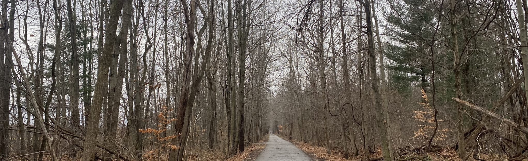 Allegan Sports Complex Path: 21 Reviews, Map - Michigan | AllTrails