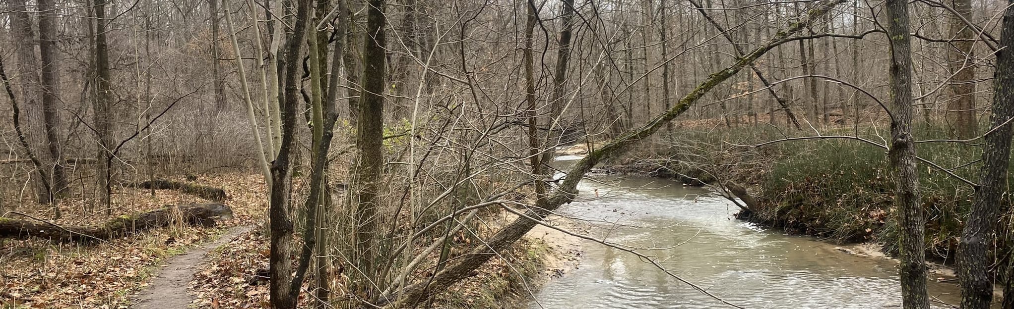 Allegan Mountain Bike Park, Michigan - 63 Reviews, Map | AllTrails