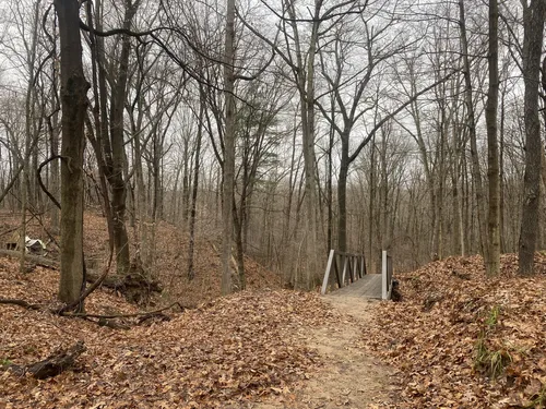 Best Forest Trails in Allegan | AllTrails