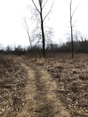 Best Hikes and Trails in Grobschmidt Park | AllTrails