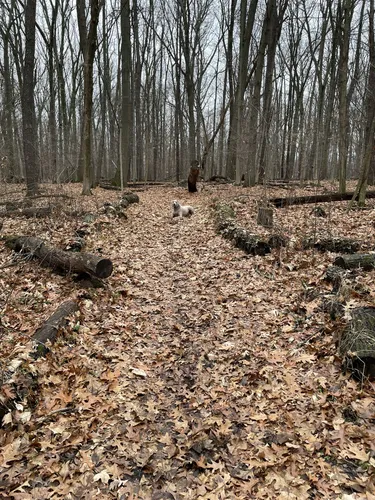 Best Hikes and Trails in Padgett Park | AllTrails