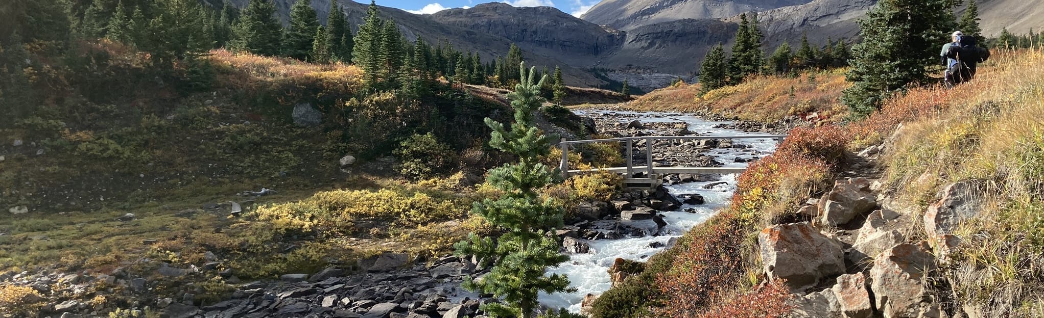 Brazeau Loop, Alberta, Canada - 68 Reviews, Map | AllTrails