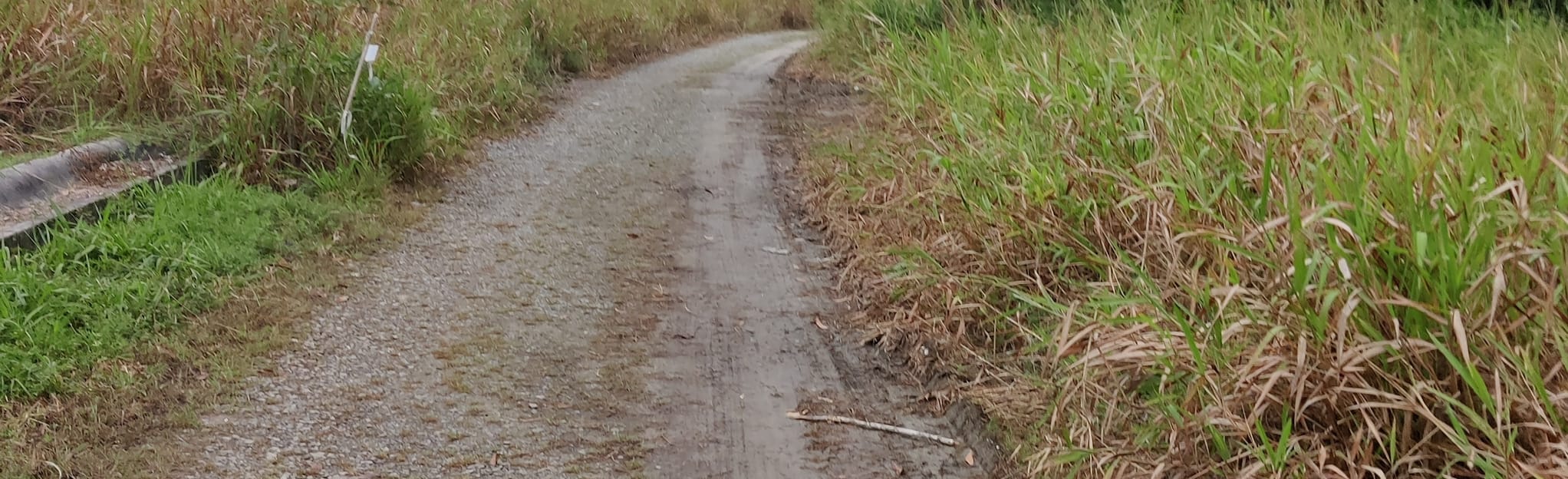 Shahbandar Extended Loop, Brunei and Muara, Brunei - 12 Reviews, Map ...