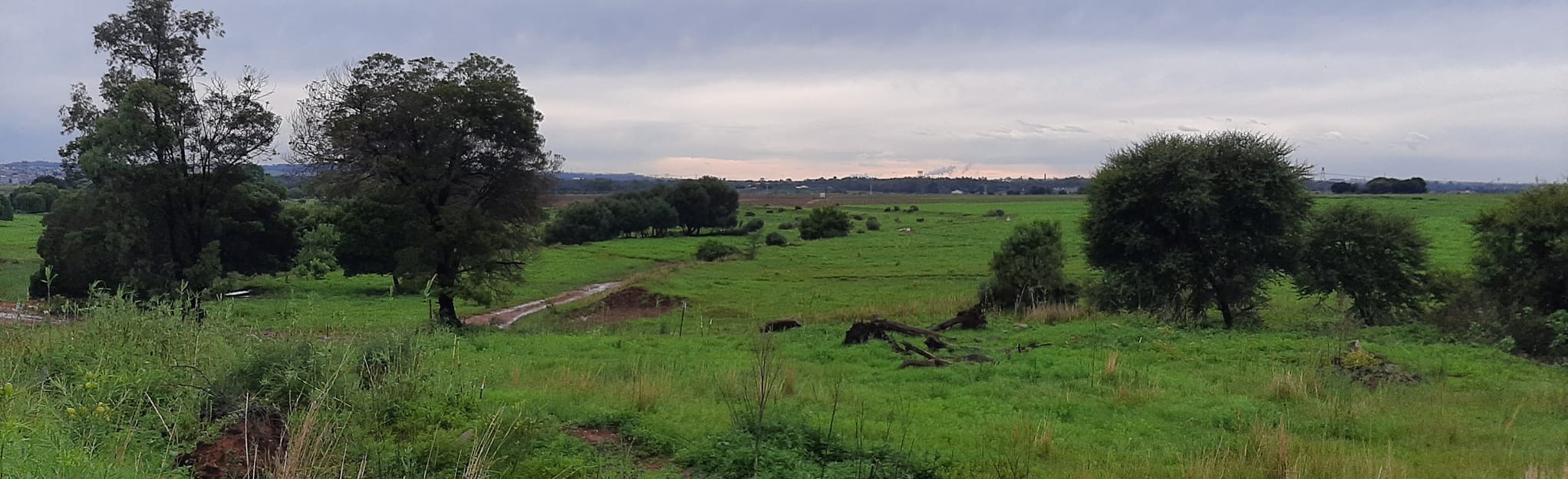 Prime View Adventure Trail: 19 fotos - Gauteng, Sudáfrica | AllTrails