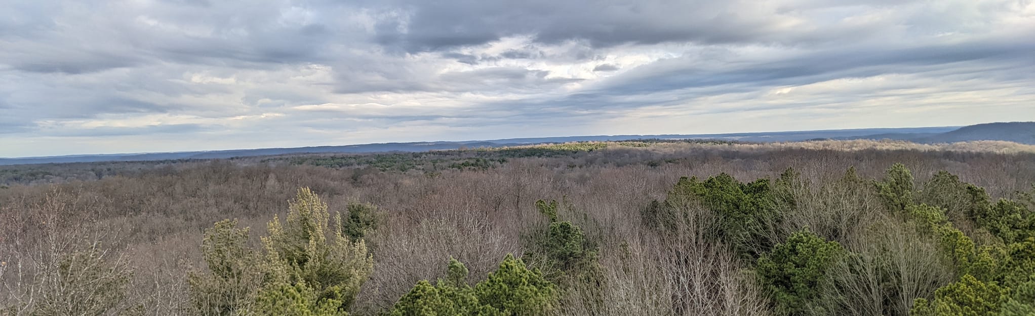 Sycamore Loop Trail: 505 Reviews, Map - Indiana | AllTrails