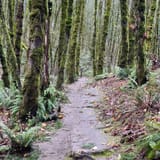 Cooks Butte Loop, Oregon - 384 Reviews, Map | AllTrails