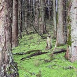 Cooks Butte Loop, Oregon - 384 Reviews, Map | AllTrails