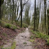 Cooks Butte Loop, Oregon - 384 Reviews, Map | AllTrails