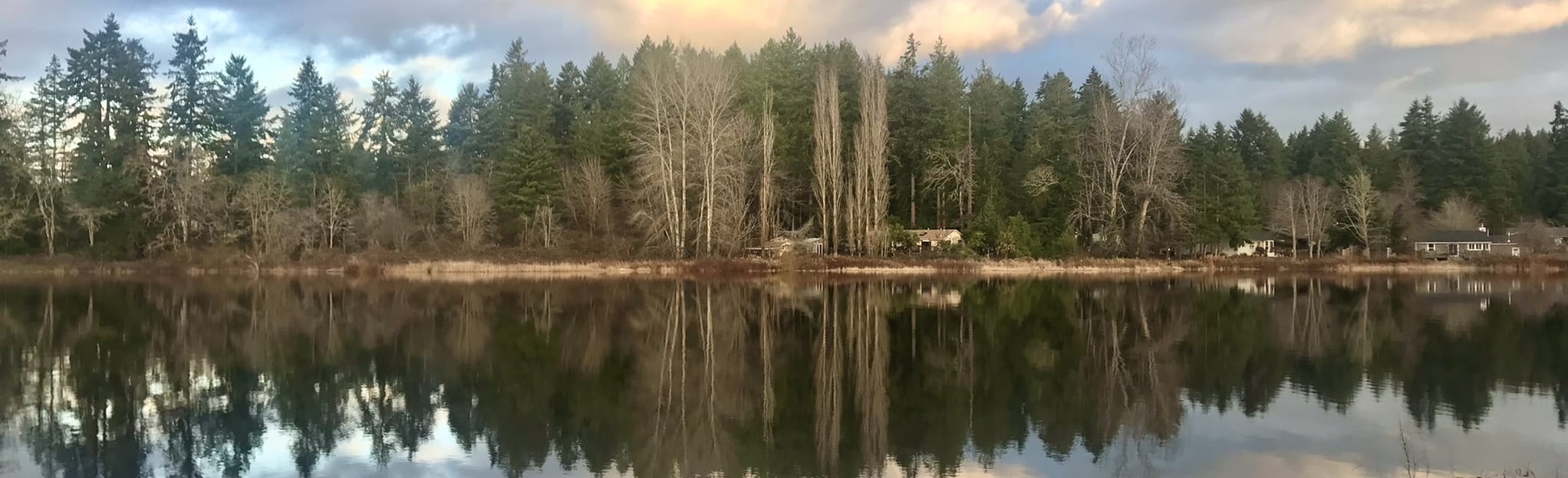 Longs Pond, Washington - 30 Reviews, Map | AllTrails