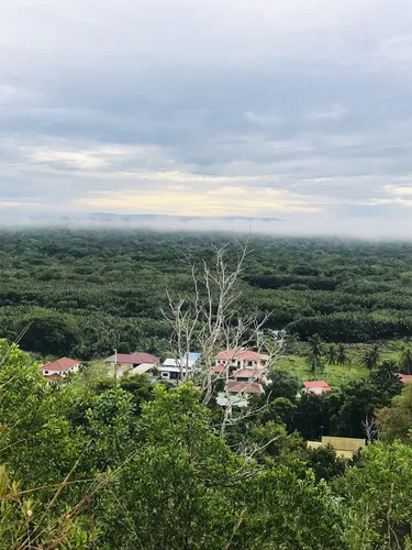 Best Hikes and Trails in Sungai Basong Recreational Park | AllTrails