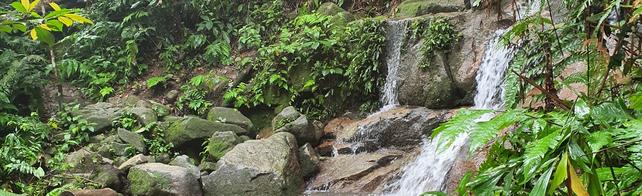 Kiara Waterfall via Kasawari: 57 Reviews, Map - Kuala Lumpur, Malaysia ...