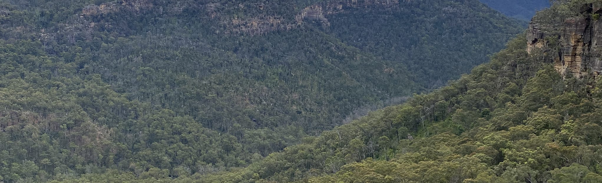 Russells Needle: 56 Reviews, Map - New South Wales, Australia | AllTrails