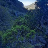 Banhoek Conservancy Waterfall Hike, Western Cape, South Africa - 147 ...