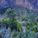 Banhoek Conservancy Waterfall Hike, Western Cape, South Africa - 147 ...