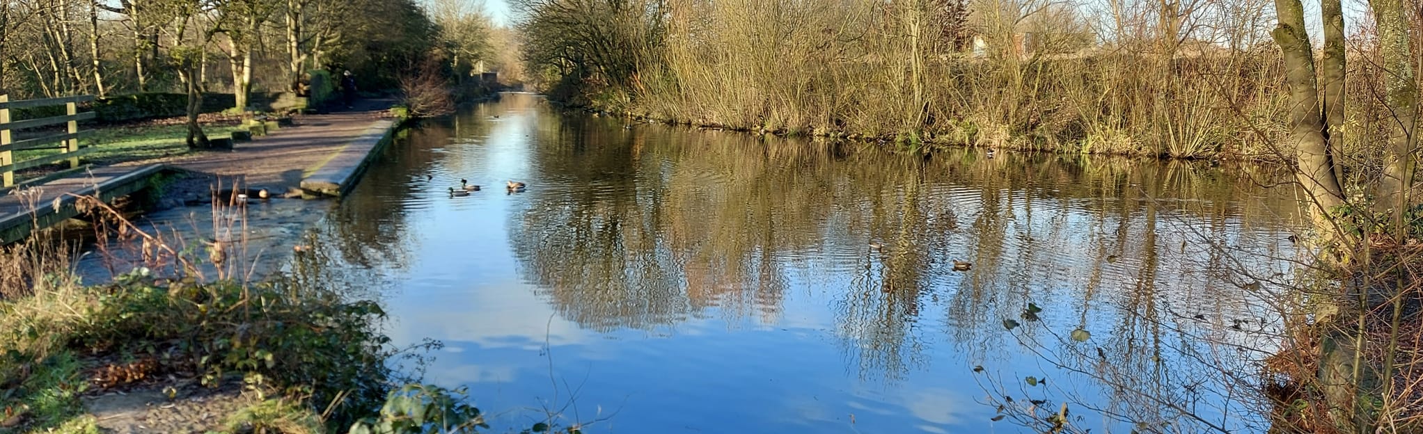 Crime Lake and Daisy Nook Country Park, 146 Fotos - Greater Manchester ...