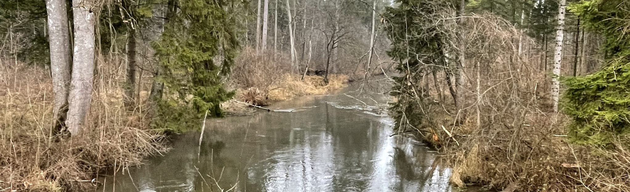 Grunseiboldsdorf Loop, Bavaria, Germany - 9 Reviews, Map | AllTrails