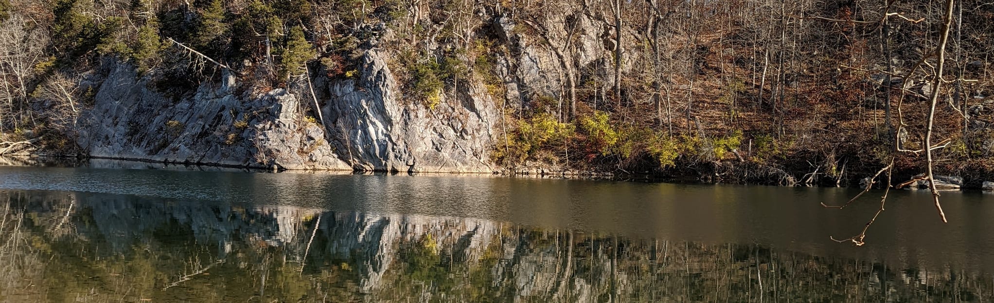 William E Carson Trail: 129 Reviews, Map - Virginia | AllTrails