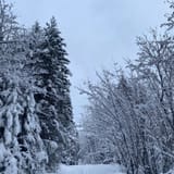 Tumwater Mountain Approach, Washington - 107 Reviews, Map | AllTrails