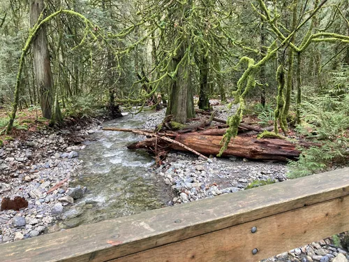 10 Best Hikes and Trails in Goldstream Provincial Park | AllTrails