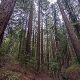 Cinderella, Sunset, Sequoia Bayview Loop Trail, California - 235 ...