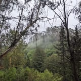 Cinderella, Sunset, Sequoia Bayview Loop Trail, California - 235 ...